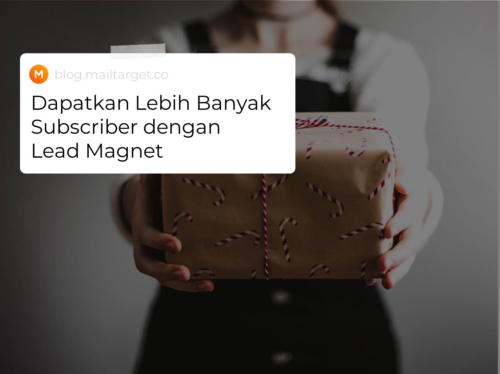 Dapatkan Subscriber Email Lebih Mudah dengan Lead Magnet | Blog MTARGET